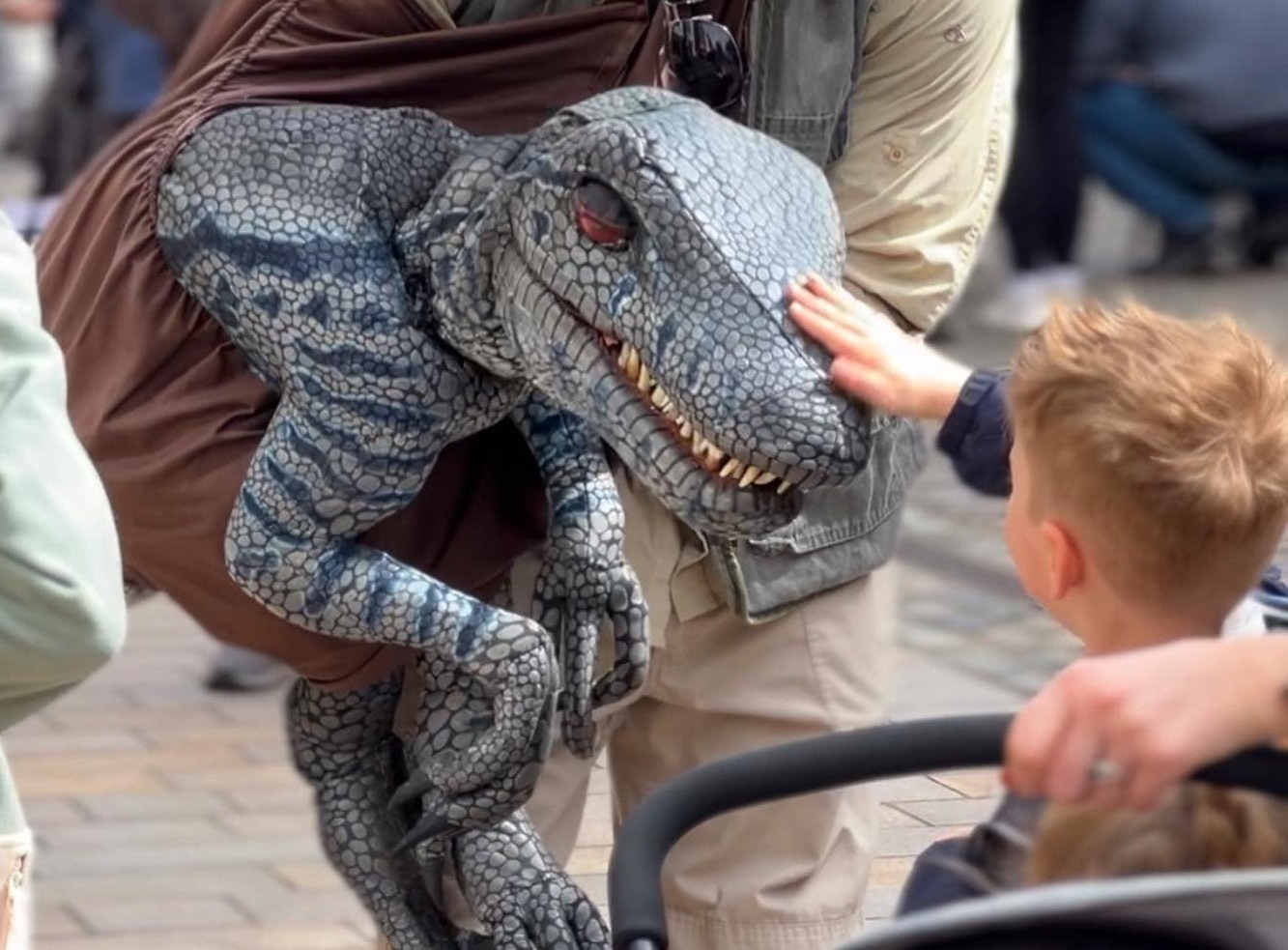 Dinostar is celebrating 21 years of dinosaurs in Hull